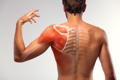 What is the most common way to dislocate your shoulder?